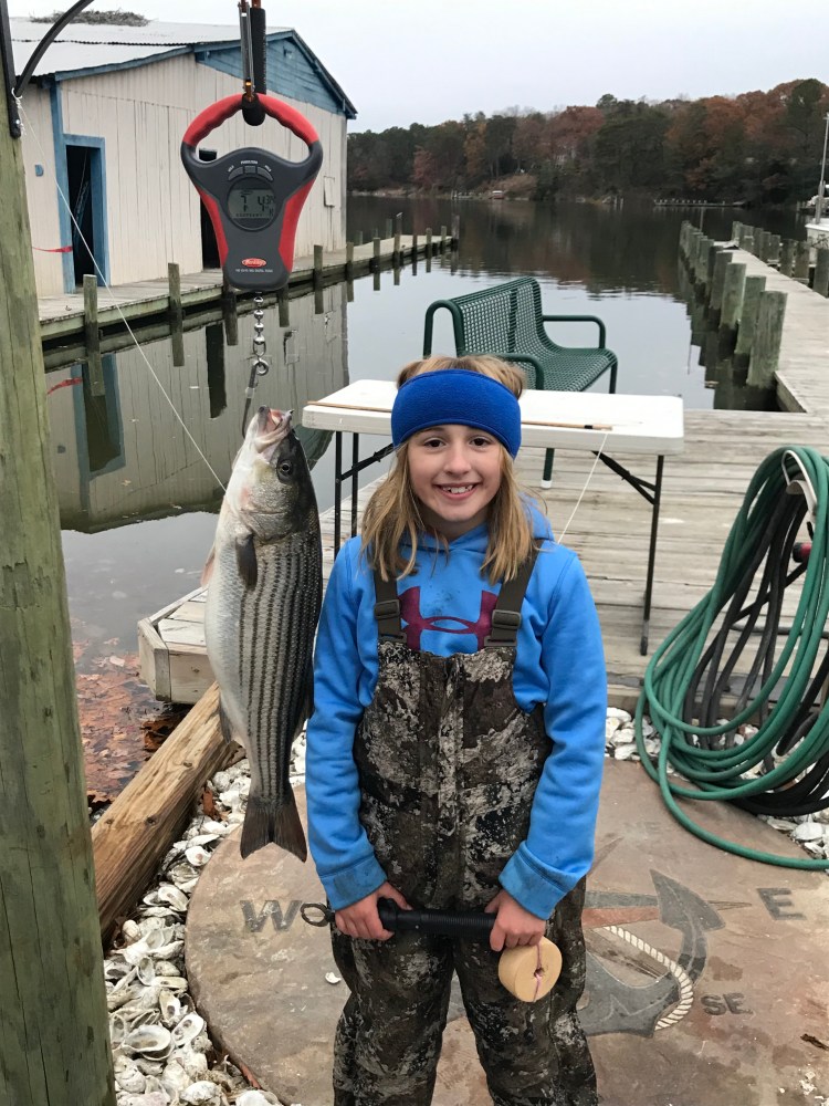 Greenvale Marina – Northern Neck